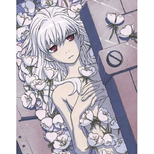 DARKER THAN BLACK -流星の双子- 4(Blu-ray)TVアニメBONES、岡村天斎、木内秀信、花澤香菜、小森高博、石井妥師　発売日 : 2010年3月24日　種別 : BD　JAN : 4534530032737　商品番...