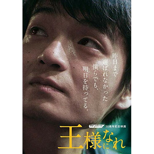 ザ・ピロウズ30周年記念映画 「王様になれ」 (本編ディスク1枚+特典ディスク2枚) (初回限定版)邦画岡山天音、後東ようこ、岩井拳士朗、オクイシュージ、山中さわお　発売日 : 2020年5月13日　種別 : DVD　JAN : 45432...