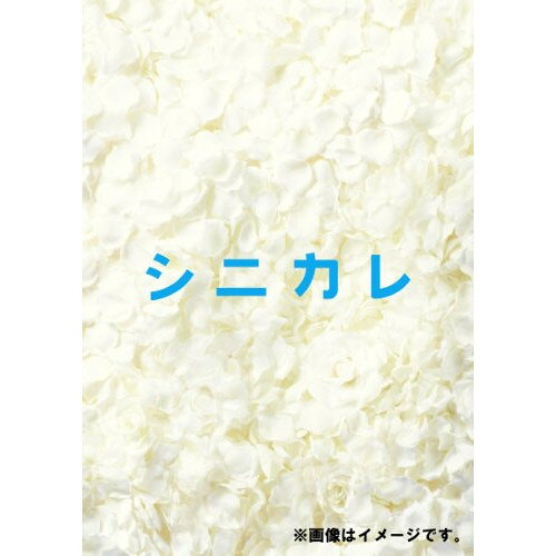 シニカレ完全版 ブルーレイBOX(Blu-ray) (本編ディスク3枚+特典ディスク1枚)国内オリジナルV藤ヶ谷太輔、桐谷美玲、マイコ　発売日 : 2013年5月31日　種別 : BD　JAN : 4988064623471　商品番号 : ...