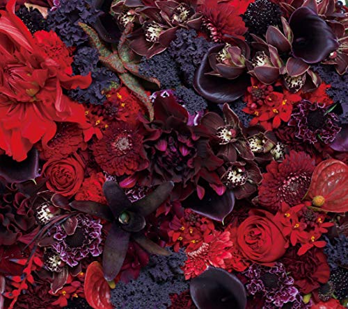 【 お取り寄せにお時間をいただく商品となります 】　・入荷まで長期お時間をいただく場合がございます。　・メーカーの在庫状況によってはお取り寄せが出来ない場合がございます。　・発送の都合上すべて揃い次第となりますので単品でのご注文をオススメい...