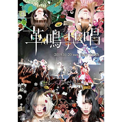 Zepp Tokyo ワンマンLIVE〜革鳴共唱〜ぜんぶ君のせいだ。ゼンブキミノセイダ ぜんぶきみのせいだ　発売日 : 2019年4月10日　種別 : DVD　JAN : 4948722540076　商品番号 : CMIV-3【収録内容】D...