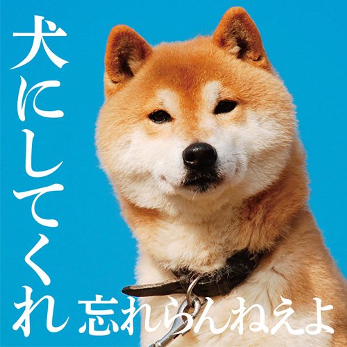 犬にしてくれ (通常スペシャルプライス盤)忘れらんねえよワスレランネエヨ わすれらんねえよ　発売日 : 2015年6月24日　種別 : CD　JAN : 4988021818452　商品番号 : VPCC-81845【商品紹介】忘れらんねえ...