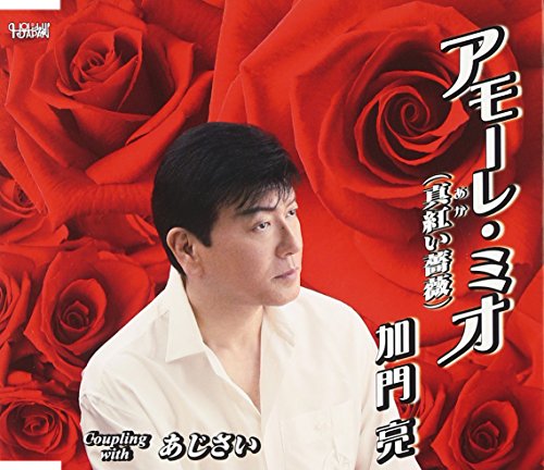 アモーレ・ミオ(真紅い薔薇)/あじさい加門亮カモンリョウ かもんりょう　発売日 : 2013年7月24日　種別 : CD　JAN : 4988001747192　商品番号 : TJCH-15404【商品紹介】加門亮のシングル。「アモーレ・ミ...