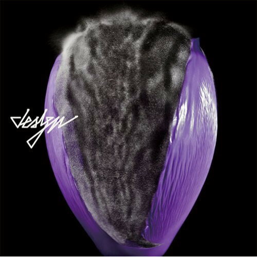 D.E.S.I.G.N.Designデザイン でざいん　発売日 : 2010年10月06日　種別 : CD　JAN : 4525853001777　商品番号 : RDCS-1001【収録内容】CD:11.intro-spelling che...