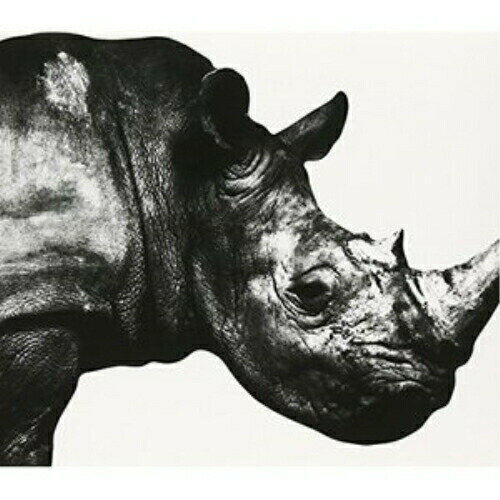 Mr.Children 1992-1995Mr.Childrenミスターチルドレン ミスチル みすたーちるどれん みすちる　発売日 : 2001年7月11日　種別 : CD　JAN : 4988061881805　商品番号 : TFCC-8...