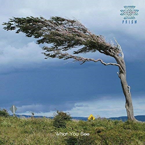 What You SeePRISMプリズム ぷりずむ　発売日 : 2017年9月20日　種別 : CD　JAN : 4543034046560　商品番号 : DDCB-8017【商品紹介】”よりソフトによりハードに”PRISMサウンドはパワ...