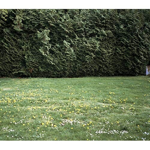 Ghostsmitsumeミツメ みつめ　発売日 : 2019年4月03日　種別 : CD　JAN : 4544163461934　商品番号 : PECF-1168【商品紹介】ここ数年、インディーシーンでも異色の存在感を放ち続けているミツメ...