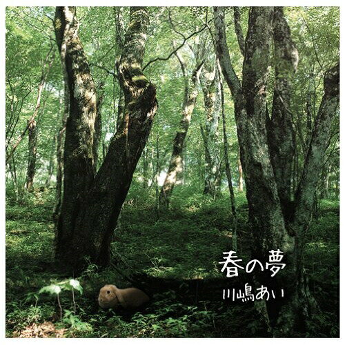 春の夢 (CD+DVD) (初回生産限定盤)川嶋あいカワシマアイ かわしまあい　発売日 : 2010年4月07日　種別 : CD　JAN : 4562166390617　商品番号 : TRAK-104【商品紹介】シンガー・ソングライター、川...