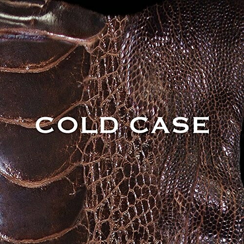 COLD CASE (通常lipper盤)vistlipビストリップ びすとりっぷ　発売日 : 2015年11月11日　種別 : CD　JAN : 4535506091635　商品番号 : MJSS-9163【商品紹介】バンド自身の節目とな...