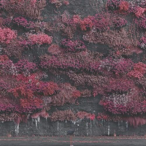 イーヴン・イン・アーケイディア (解説付)スリープ・トークンスリープトークン すりーぷとーくん　発売日 : 2025年6月25日　種別 : CD　JAN : 4547366746204　商品番号 : SICP-6703【商品紹介】今、世界で...