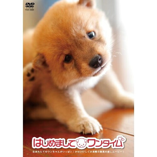 はじめまして ワンタイム趣味教養　発売日 : 2009年11月25日　種別 : DVD　JAN : 4580204756010　商品番号 : YRBN-90081