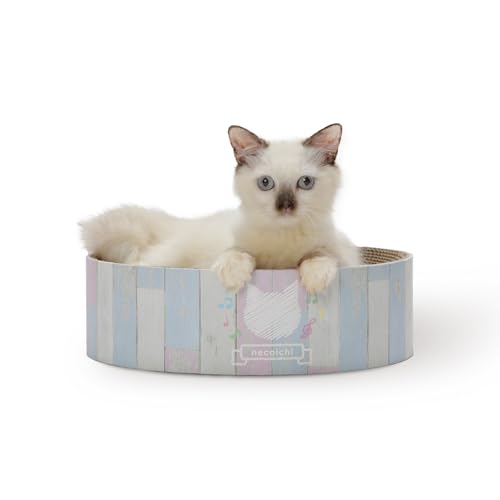 本体子猫/子猫用/本体/4580471866399・パッケージ個数:1・【ファーストつめとぎは特別感満載に】 猫壱の大人気「バリバリボウル」、小さな子猫には少々大きめでした。 そんなバリバリボウルにスペシャルな「子猫用」が登場です。 小さな...