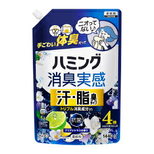 「使用方法」○液を全量使いきってからつめかえる。「成分」成分/界面活性剤（エステル型ジアルキルアンモニウム塩、ポリオキシエチレンアルキルエーテル）、香料、安定化剤 「使用上の注意」つめかえ方 ご注意 ○「ハミング消臭実感 汗・脂臭タイプ(ク...