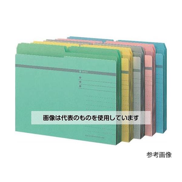 【アズワン AS ONE】実験室設備 事務用品・OAデスク ファイリング用品 商品の仕様 ●サイズ(mm)：311×240 ●色：青 ●A4判 ●材質：ツインカラーファイル用紙製(再生紙) ●JANコード：4550061778487 【※ご...