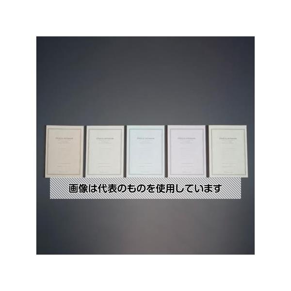 【アズワン AS ONE】実験室設備 事務用品・OAデスク ファイリング用品 ●1行を3分割にするラインにより行間・文字高の揃った読みやすい文字を書くことができます。 ●行と同じ間隔の縦ラインにより段落分けができる。 ●図表・グラフの作成も...