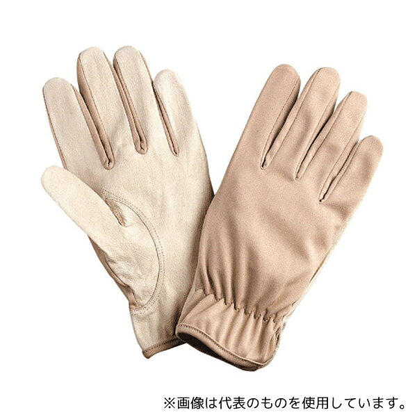 【アズワン AS ONE】汎用器具・消耗品 保護・手袋・ウエア2 一般手袋 ●甲部分はナイロン素材で通気性抜群。手首部分にゴム挿入でフィット感も優れた豚革手袋。 商品の仕様 ●手袋本体:豚革・ナイロン ●色:ベージュ ●サイズ:全長210m...
