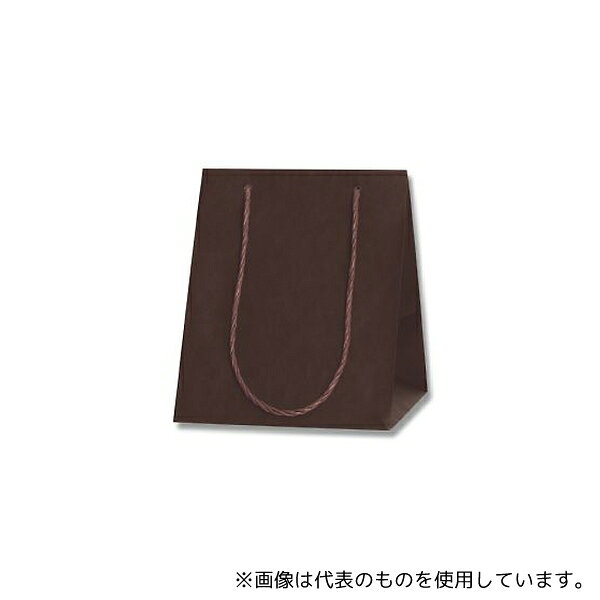 【アズワン AS ONE】実験室設備 事務用品・OAデスク 事務用品 ●口ボール・底ボール入 手紐:紙紐3本撚り 商品の仕様 ●サイズ:195×195×240mm ●色・柄:焦茶 ●材質:未晒120g/m2 ●入り数:10枚/外袋 ●JAN...