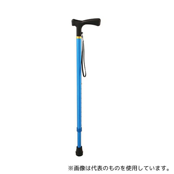 【アズワン AS ONE】看護、介護用品 介護・リハビリ 介護その他 ●伸縮式(70〜93cm)のステッキです。 商品の仕様 ●伸縮長さ:70〜93cm ●ゴムキャップ内径:19mm ●重量:300g ●SGマーク適合品 ●JANコード：4...