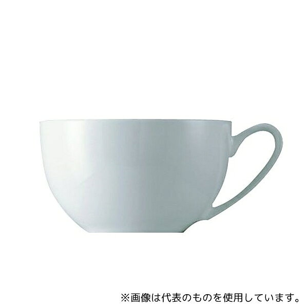 【アズワン AS ONE】実験室設備 事務用品・OAデスク 事務用品 ●1979年、フィリップ・ローゼンタールがドイツ南部バイエルン州の、エアカーストロイトの小さな城に絵付け工房を創設してから130年以上。 ●ローゼンタールは、最高の素材と...