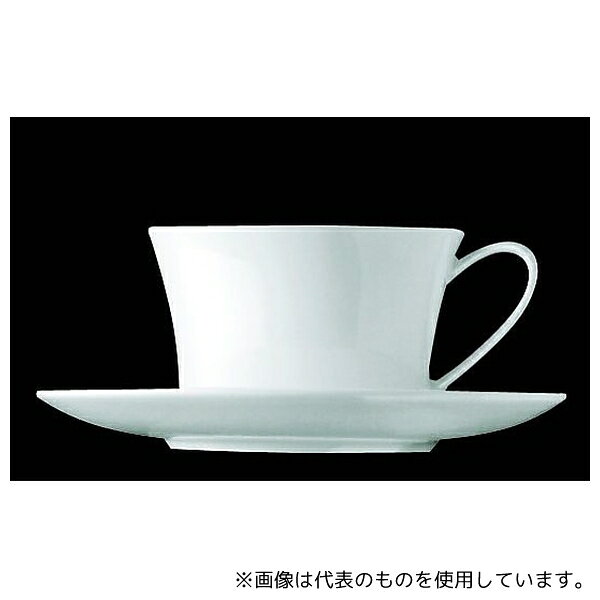 【アズワン AS ONE】実験室設備 事務用品・OAデスク 事務用品 ●1979年、フィリップ・ローゼンタールがドイツ南部バイエルン州の、エアカーストロイトの小さな城に絵付け工房を創設してから130年以上。 ●ローゼンタールは、最高の素材と...