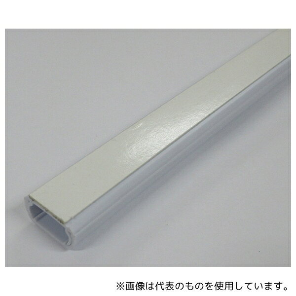 【アズワン AS ONE】実験室設備 工具類 工具、道具 ●2号 商品の仕様 ●材質:ABS樹脂 ●全長:1m ●本体サイズ:1000(H)×21(W)×11(D)mm ●重量:129g ●適合ケーブル:UTP0.5×4P×2条 ・VVF1...