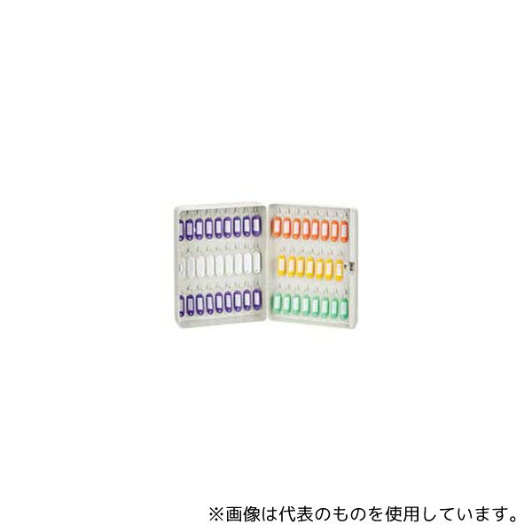 【アズワン AS ONE】実験室設備 事務用品・OAデスク 事務用品 ●低価格、シンプルなキーケース。 ●※キーホルダーのみのお取扱いはございません。 商品の仕様 ●サイズ:幅230×奥90×高300mm ●鍵吊個数:50個 ●鍵有効高さ:...
