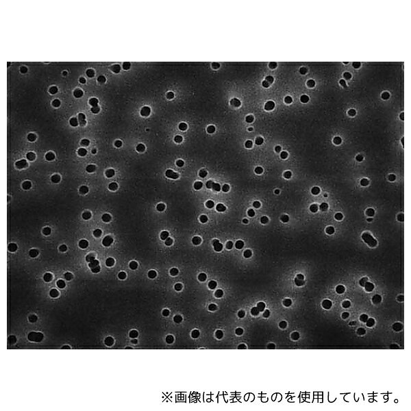 【アズワン AS ONE】分析・特殊機器 分離・分析ロシ 分離・分析用品(フィルター・濾紙・膜) 商品の仕様 ●フィルター孔径、m:0.4 ●フィルター直径、mm:25 ●厚さ、m:722 ●材質:ポリカーボネート ●フィルターカラー:黒色...
