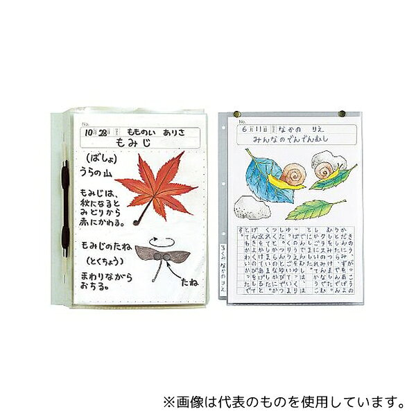 【アズワン AS ONE】汎用科学機器 汎用科学機器 一般 その他汎用科学機器 ●ハッキリ、クッキリ見える透明クリアシート採用!! ●開きやすいL型構造! ●フラットファイルにすっきり収納。 ●名前シール付 商品の仕様 ●商品サイズ:309...