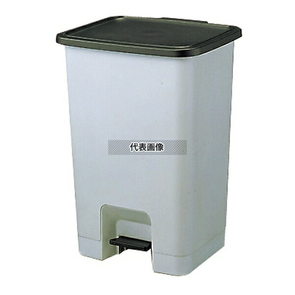 商品の特徴 Lustroware(ラストロウェア) ステップオンカン 10型 L-921GR 製品仕様 ●型番:L-921GR ●商品ブランドシリーズ:Lustroware(ラストロウェア) ●品名情報分解1 物:ダストボックス ●外寸:2...