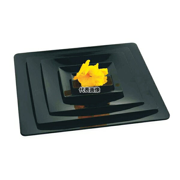 商品の特徴 ソリア フルイド ブラック PL20233 (10入) 160×160 ●創造的なコンセプトと美しいデザインで料理や食品の魅力を発揮させるソリアシリーズ ●使い捨てタイプ 製品仕様 ●型番:PL20233 ●商品ブランドシリーズ...