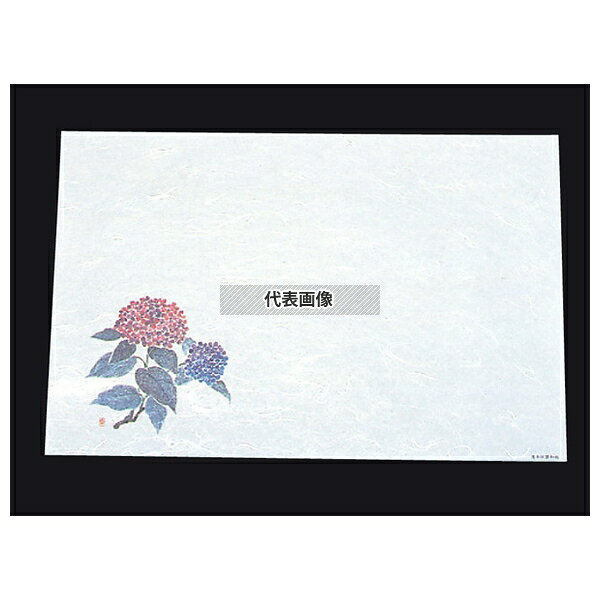 商品の特徴 尺三 懐石マット 抗菌遠赤和紙 (100枚入) WS-18 紫陽花 (5月~6月) ●優れた抗菌効果と遠赤外線放射 ●雑菌(大腸菌・病原性大腸菌O-157)発生を強力に防ぎ、付着した細菌の繁殖を抑え、ゆるやかに滅菌し長時間効果が...