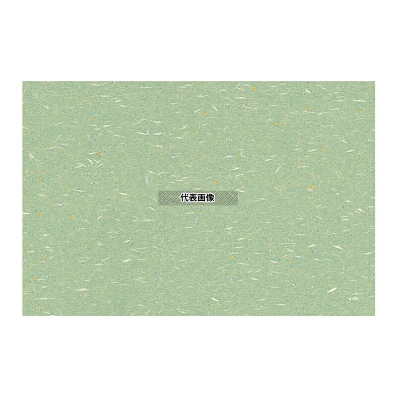 商品の特徴 アーテック 尺三マット 金銀霞ミ(100枚入) KT-5 ヨモギ 264×390mm No.0561440 ●金銀と大礼雲流が漉き込まれた高級感あふれる色和紙です。 ●無地の色紙ですので、季節やお料理に合わせて自由にお選びいただ...
