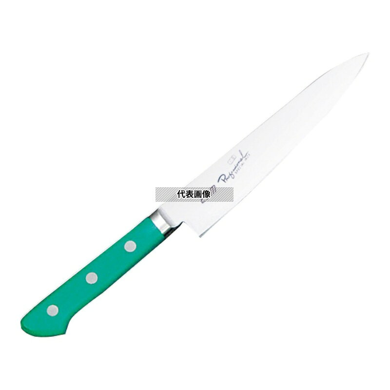 商品の特徴 EBM(江部松) 抗菌 スペシャル・イノックス ペティーナイフ 15cm グリーン ●ツバ付プロ仕様 ●手研ぎ本刃付すばらしい切れ味 ●抗菌7色カラーハンドル衛生管理対応(HAccP対応) ●モリブデン鋼を含有した特殊ハガネを使...