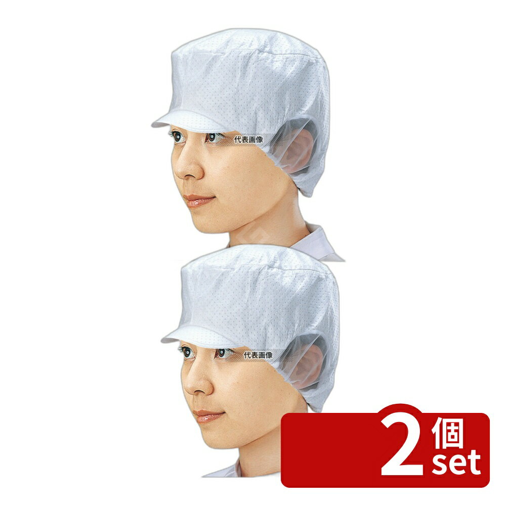 商品の特徴 シンガー 電石帽 (20枚入) SR-5 長髪 ●電気分極を持った超極細繊維の不織布が、毛髪やフケ、ホコリをしっかり吸着します。また、周囲のゴムが隙間からの落下を防止 ●ひさし付、制帽として使用もできます。数度の洗濯に耐えます。...