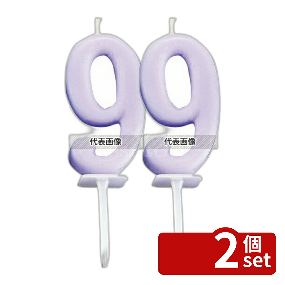 商品の特徴 ナンバーキャンドル パステル (10入) 9番 B7501-07-09LV 製品仕様 ●型番:B7501-07-09LV ●商品ブランドシリーズ:江部松商事 ●品名情報分解1 物:ろうそく ●外寸:25×10×H75/ ●材質:...
