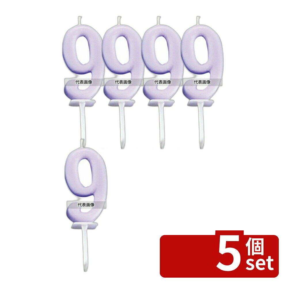商品の特徴 ナンバーキャンドル パステル (10入) 9番 B7501-07-09LV 製品仕様 ●型番:B7501-07-09LV ●商品ブランドシリーズ:江部松商事 ●品名情報分解1 物:ろうそく ●外寸:25×10×H75/ ●材質:...