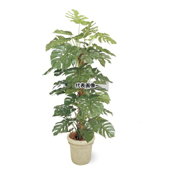 商品の特徴 タカショー GD-146 21156200 モンステラ 1.8m 室内用 観葉植物 人工植物 人工観葉植物：上質なグリーンならではの好印象●水やり不要でお手入れも簡単 製品仕様 ●高さ(m):1.8 JANコード：4975149...