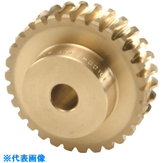 オレンジブック トラスコ中山　TRUSCOKHK ウォームホイールAGF6-60R1 〔品番:AGF660R1〕[ 注番:1265499]特長●耐摩耗性に優れたアルミニウム青銅製のウォームホイールです。●コンパクトな設計が可能です。用途●動...