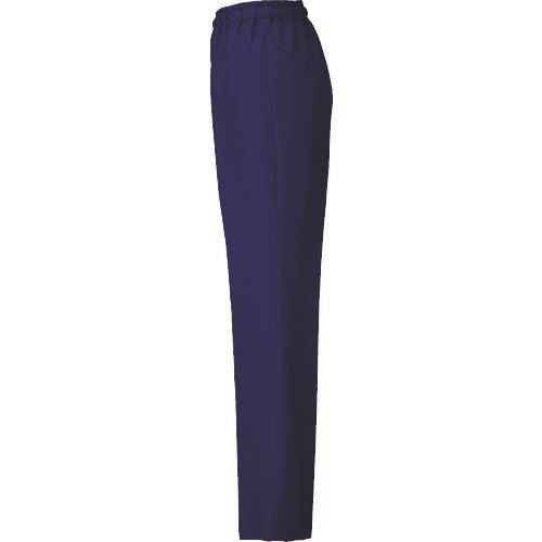 オレンジブック トラスコ中山　TRUSCOアイトス パンツ(男女兼用) ブルー SS 〔品番:861402006SS〕[ 注番:1396943]特長●再生ペットエコ素材に制菌加工を施した、スタンダードパンツです。仕様●色：ブルー●サイズ：S...