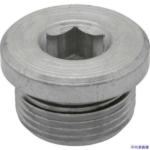 オレンジブック トラスコ中山　TRUSCOkipp スクリュー プラグ(スチール製) 〔品番:SPS12〕[ 注番:2145845]特長仕様仕様2●スクリュー　プラグ(スチール製)材質/仕上セット内容/付属品注意原産国（名称）イタリアJAN...