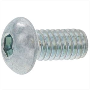 オレンジブック トラスコ中山　TRUSCOSUNCO SUSボタンCAP 6×40 (200本入) 〔品番:A00210000060040000〕[ 注番:2426402]特長仕様●寸法(mm)d：M6●寸法(mm)L：0●ねじ長さ(mm)...