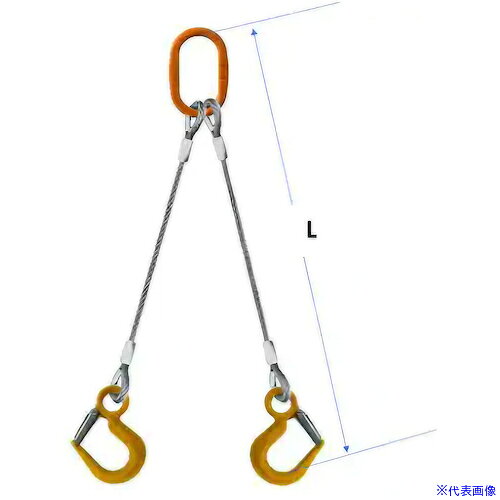 オレンジブック トラスコ中山　TRUSCOコンドーテック JISロック止ワイヤ 2点吊 16mm LSフック2.0t付 楕円マスターリング付 φ16×2.5M LS2.0/A5022S 〔品番:05222RDFL162S5〕[ 注番:612...
