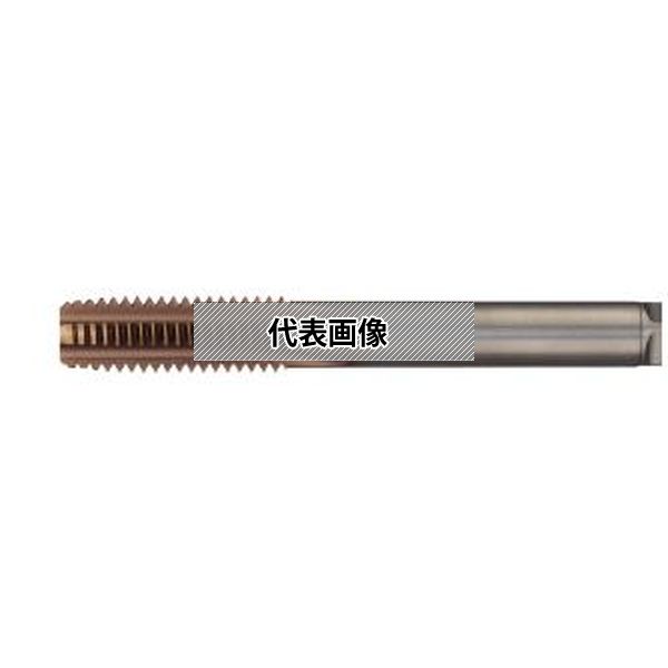 【ご注意：画像は代表画像です。カラーやサイズは商品名を必ずご確認下さい。】用途—商品説明50HRC以上の焼き入れ材を安定して加工！商品スペックねじの種類：M呼び：M5全長(mm)：60シャンク径(mm)：6溝数(枚)：4材質：超硬表面処理：...