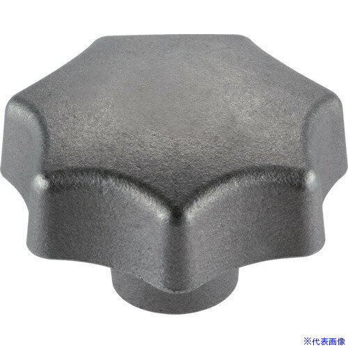 オレンジブック トラスコ中山　TRUSCOHALDER スターグリップ DIN6336 鋳鉄 形状A 〔品番:24650.0080〕[ 注番:1078240]特長●操作用部品です。仕様●グリップサイズ：Φ80仕様2材質/仕上●DIN6336...