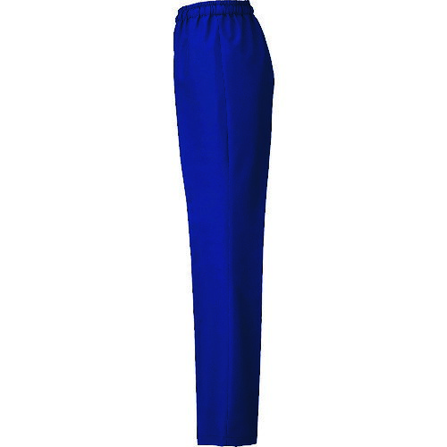 オレンジブック トラスコ中山　TRUSCOアイトス パンツ(男女兼用) ブルー SS 〔品番:861402006SS〕[ 注番:1396943]特長●再生ペットエコ素材に制菌加工を施した、スタンダードパンツです。仕様●色：ブルー●サイズ：S...