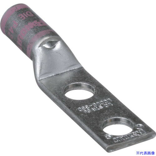 オレンジブック トラスコ中山　TRUSCOPANDUIT 銅製圧縮端子 2穴 電線サイズ AWG 1/0 取付穴サイズ 9.5mm 取付穴間隔 25.4mm LCD1/0−38D−X 〔品番:LCD1038DX〕[ 注番:1674648]特...