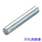 オレンジブック トラスコ中山　TRUSCOTONE インパクト用ピン 5X39L (1Pk(袋)＝10個入) 〔品番:PIN5039S〕[ 注番:2816938]特長仕様●品名：ピン●適合機種：6A-33〜36、6A-38L〜46L、6A-...