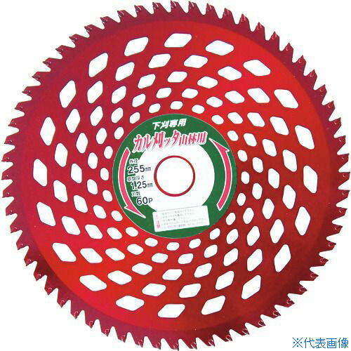 オレンジブック トラスコ中山　TRUSCOIWOOD 刈払機用チップソー カル刈ッタ山林・下刈用 両側刃 255X60P 〔品番:98137〕[ 注番:8275445]特長●高硬度特殊チップのため切れ味と長寿命です。●衝撃に強いチップ完全埋...