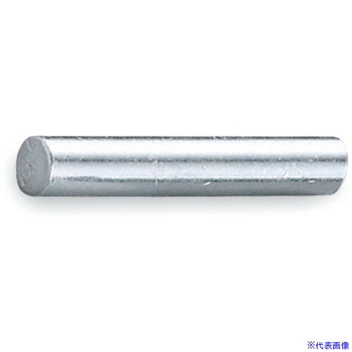 オレンジブック トラスコ中山　TRUSCOTONE インパクトソケット用ピン 径3mm 全長20mm 〔品番:P4NV3S〕[ 注番:8642756]特長●インパクト用ピンのセットです。用途●ボルト・ナットの締付け・緩め作業用に。仕様●品名...