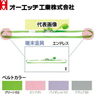 商品の特徴 【用途】レジャー・スポーツに最適 ●ウインドサーフィン・スキー板などの搬送に適しています。 ●ベルト材質：ポリエステル ●幅25mm×厚1.8mm ●店舗陳列しやすいブリスターパック入です。 製品仕様 ●品番：SR100E-G ...